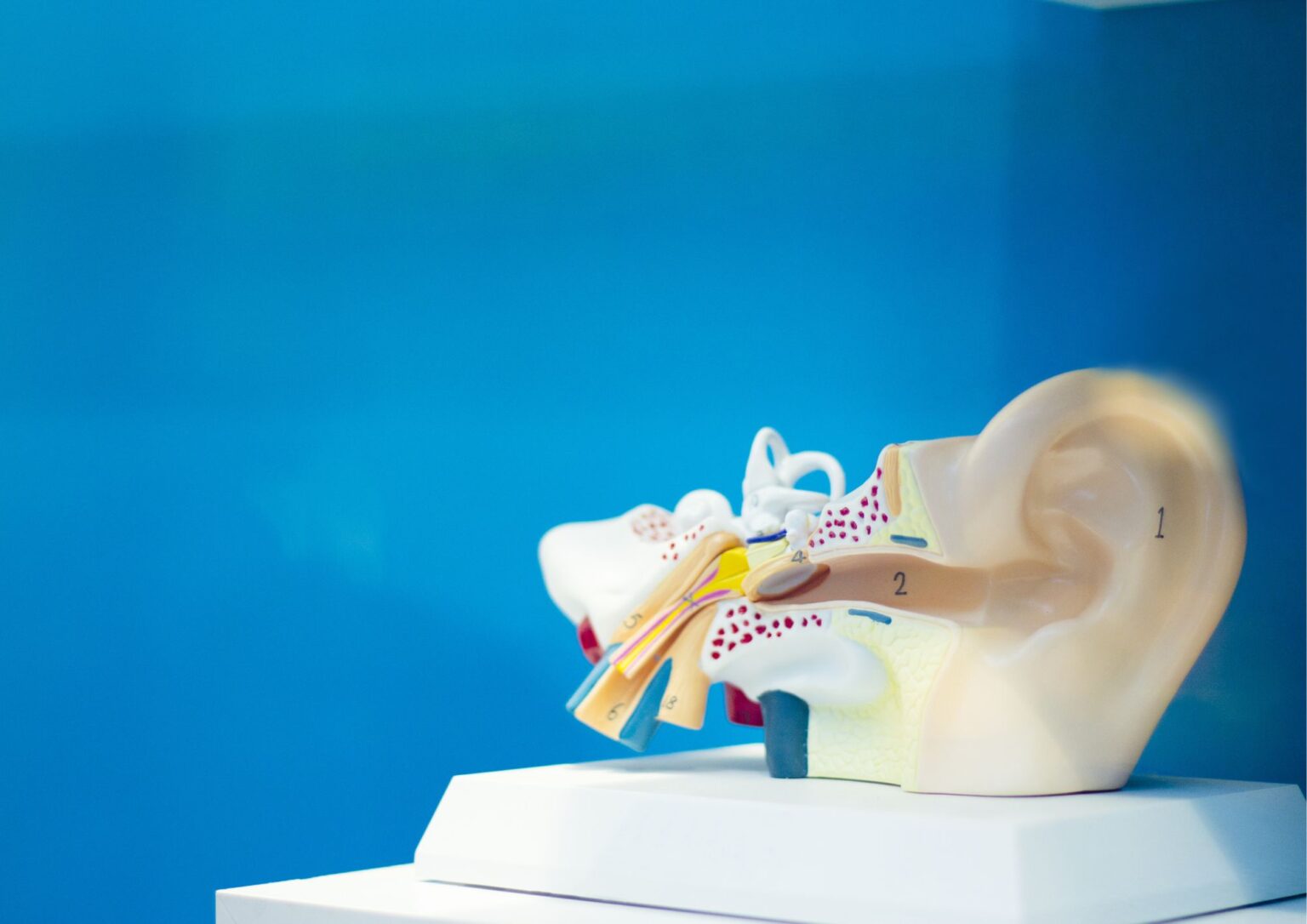 Can Ear Wax Cause Vertigo? | Ear Care Clinic